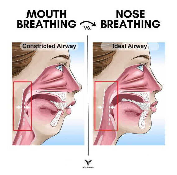 Functional Activator by Posture Pro – Shen Generation